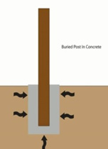 Using oak in construction