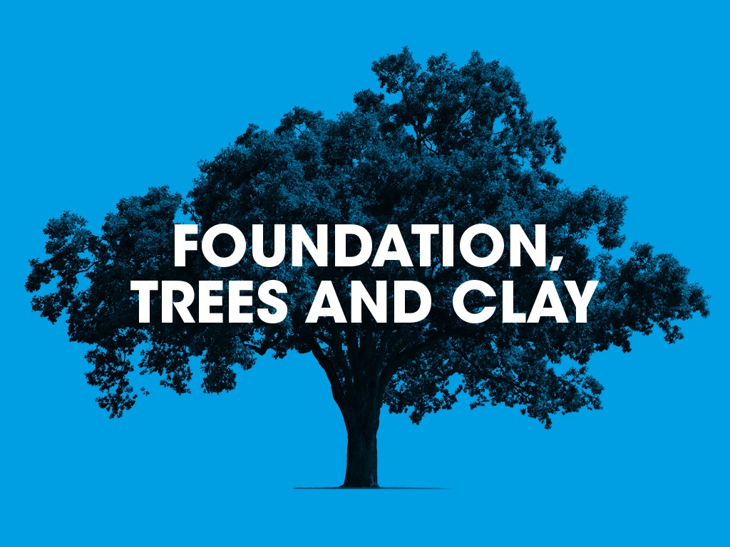 Foundation, trees and clay